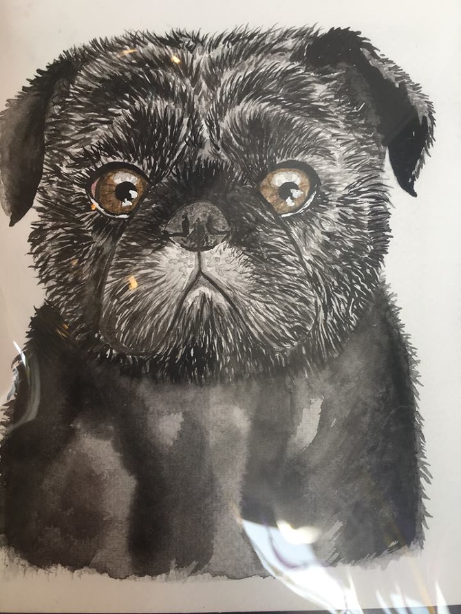 Dogs - Emmy Turner Illustration