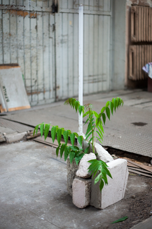 Temporal Structures - martawlusek