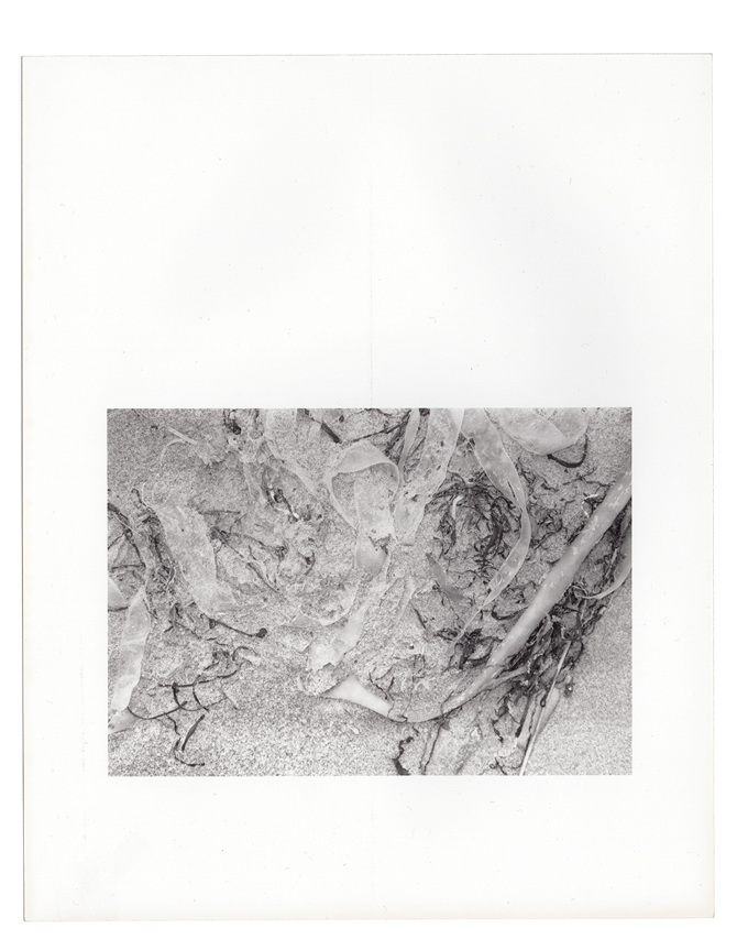 Ongoing Archive - Sam Cotter