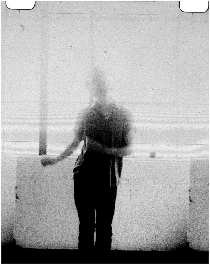 Archive Fever - Sam Cotter