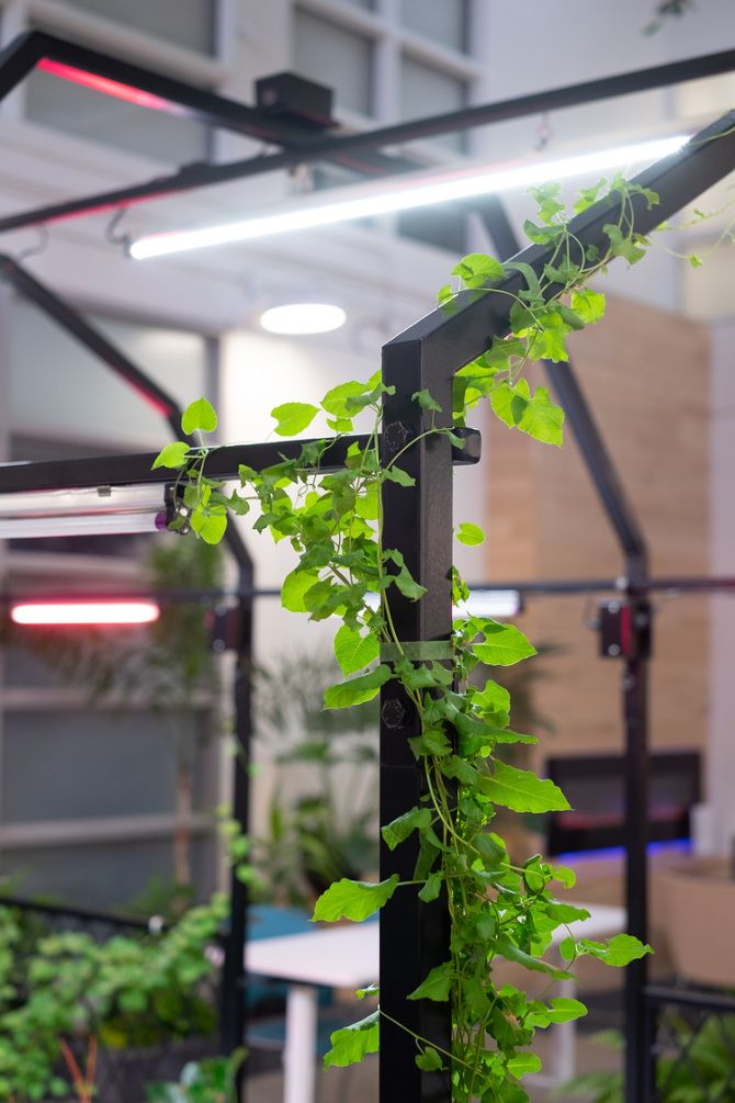 Indeterminate Growth - Sam Cotter