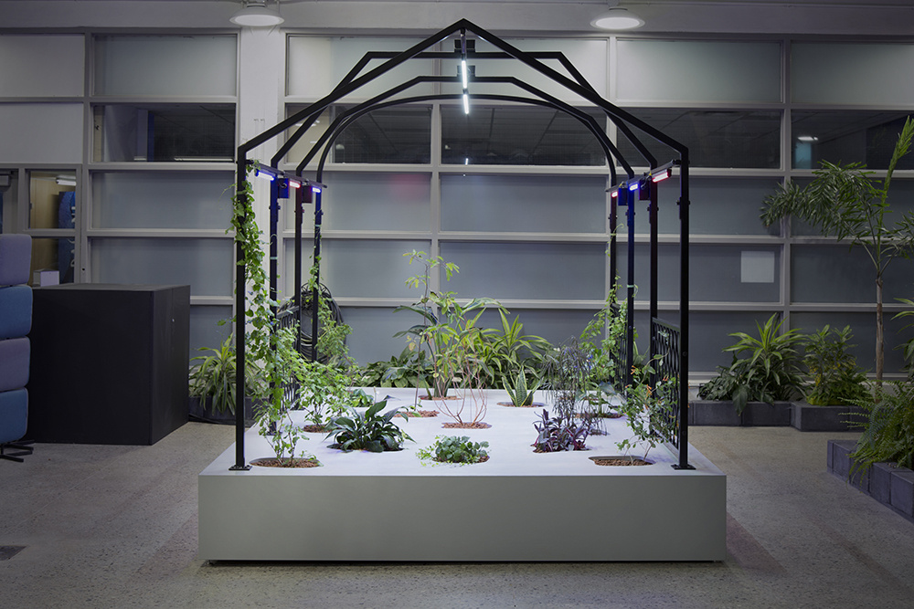 Indeterminate Growth - Sam Cotter