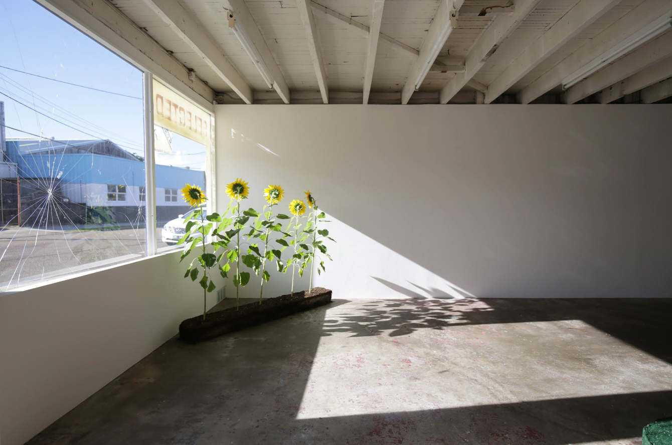 Tay Haggarty - Wreckers Artspace