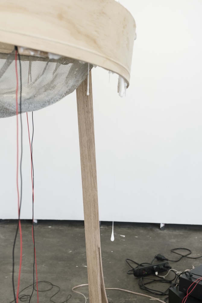 Shannon Toth - Wreckers Artspace