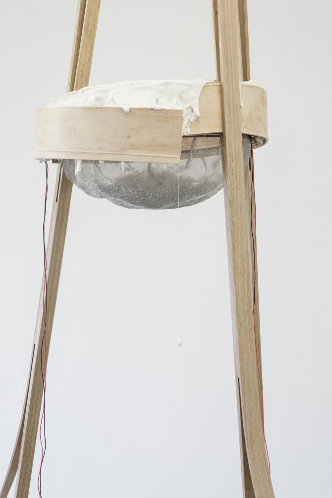 Shannon Toth - Wreckers Artspace