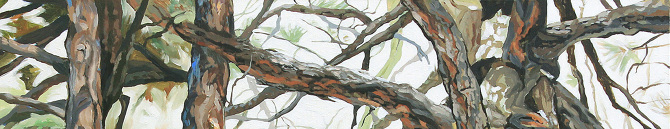 SusanMakovArtist.com