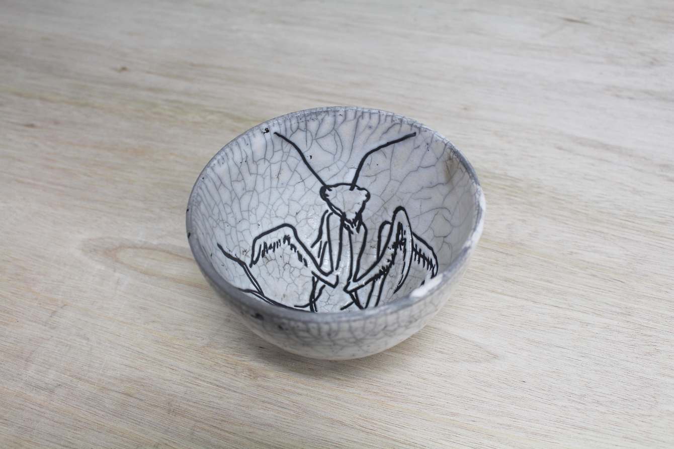 Insect bowls - Natalie Meister