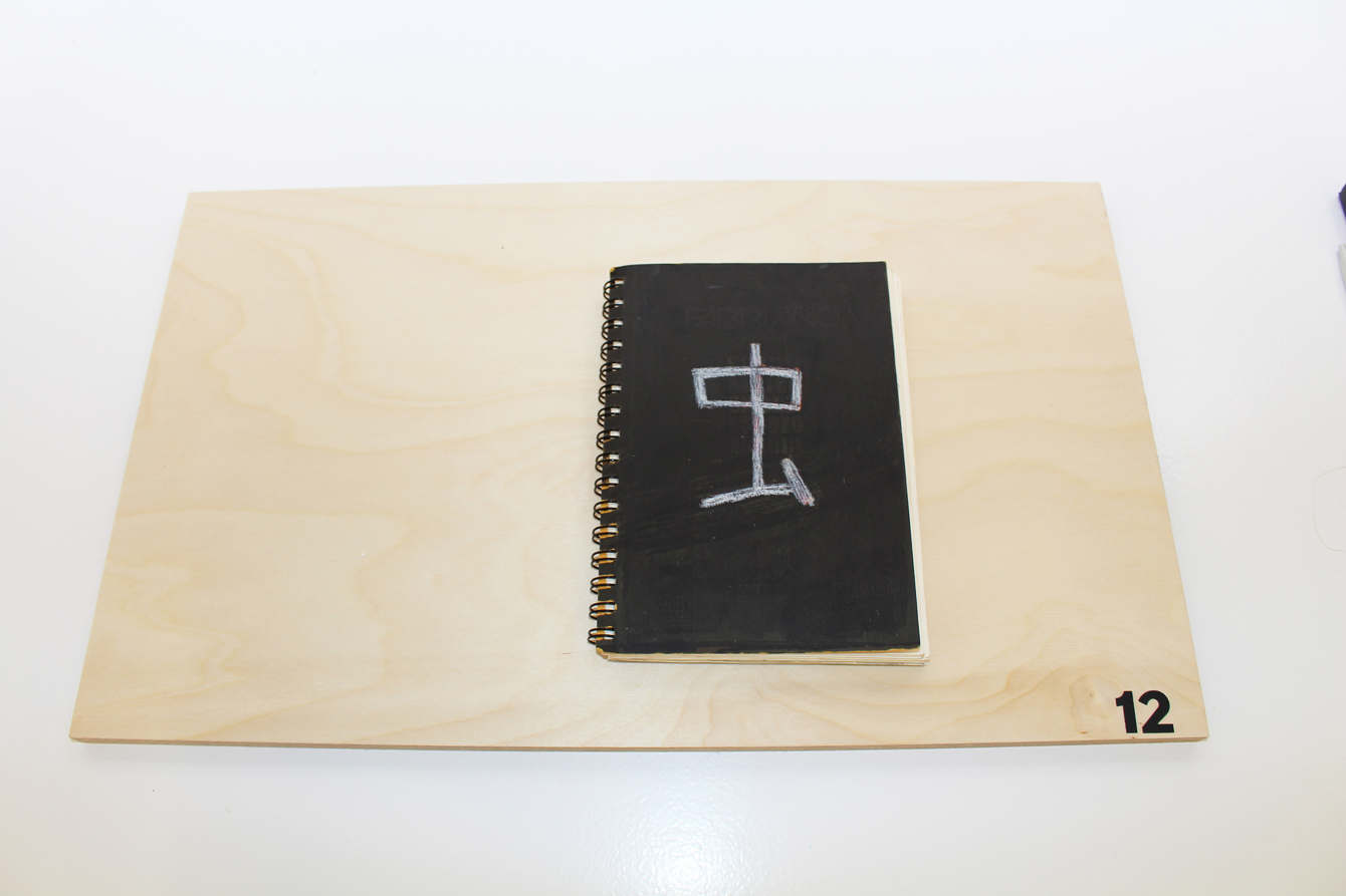 Insect Diary - Natalie Meister