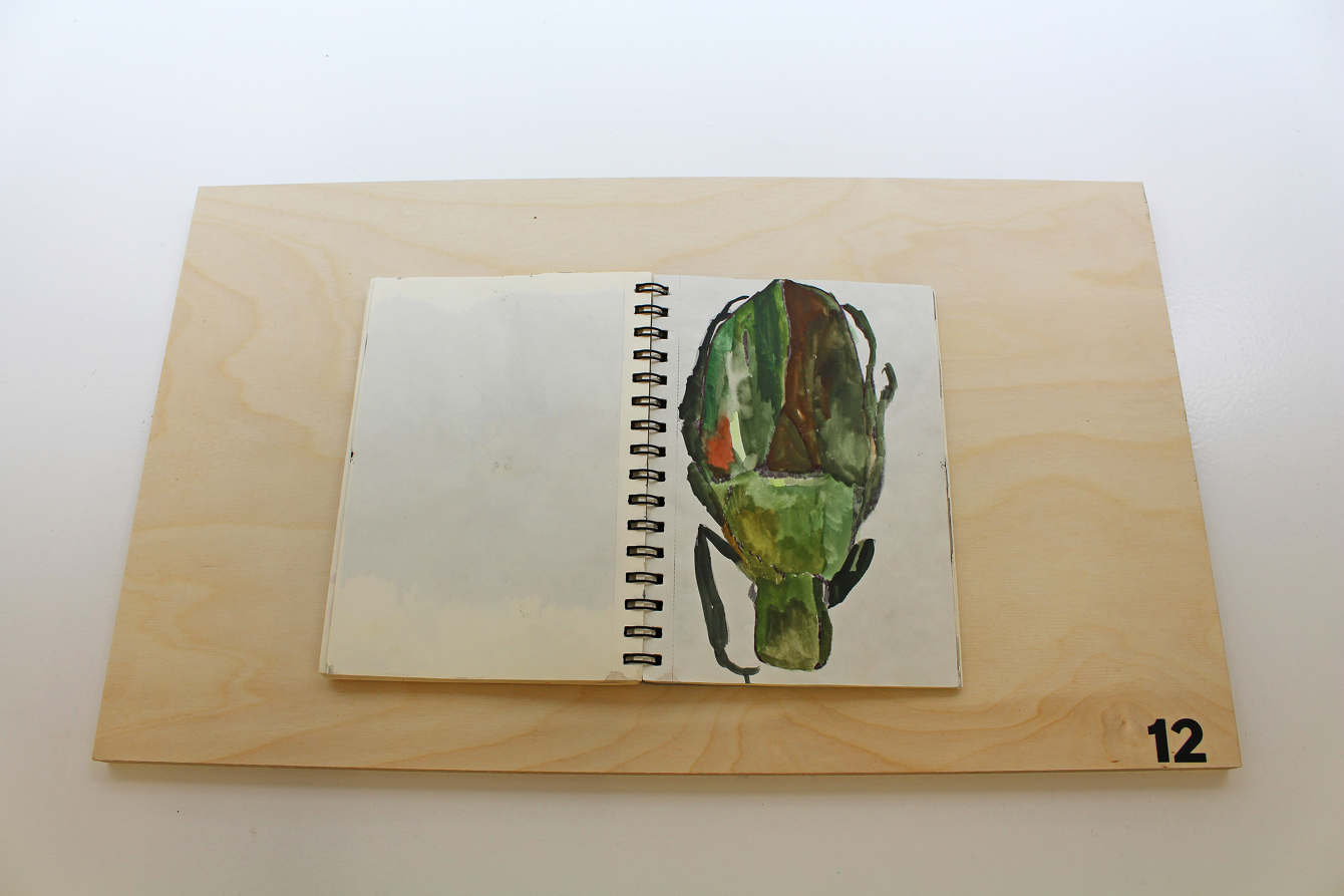 Insect Diary - Natalie Meister