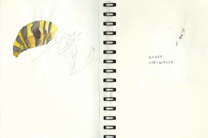 Insect Diary - Natalie Meister