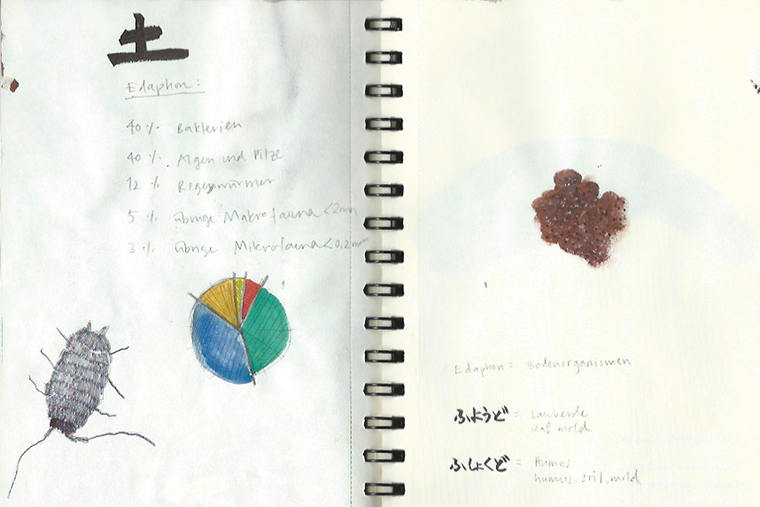 Insect Diary - Natalie Meister