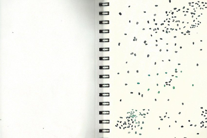 Insect Diary - Natalie Meister
