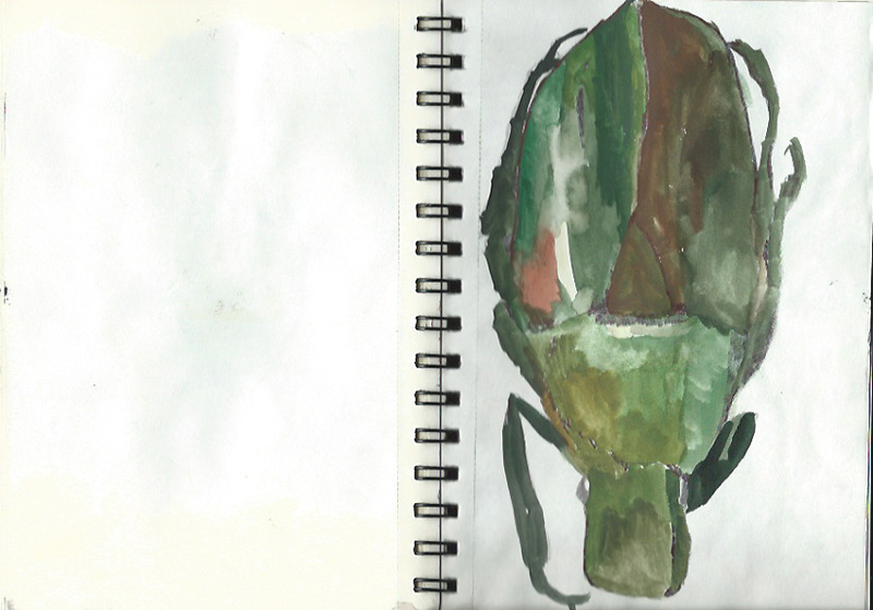 Insect Diary - Natalie Meister