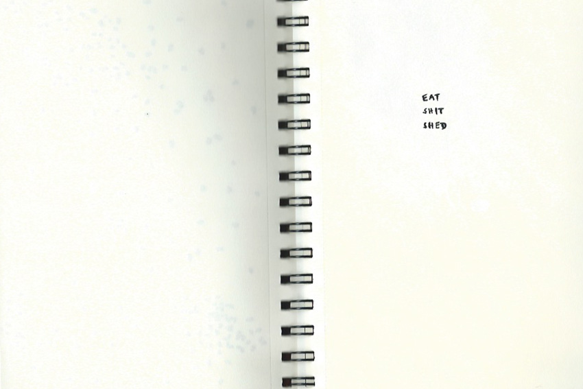Insect Diary - Natalie Meister
