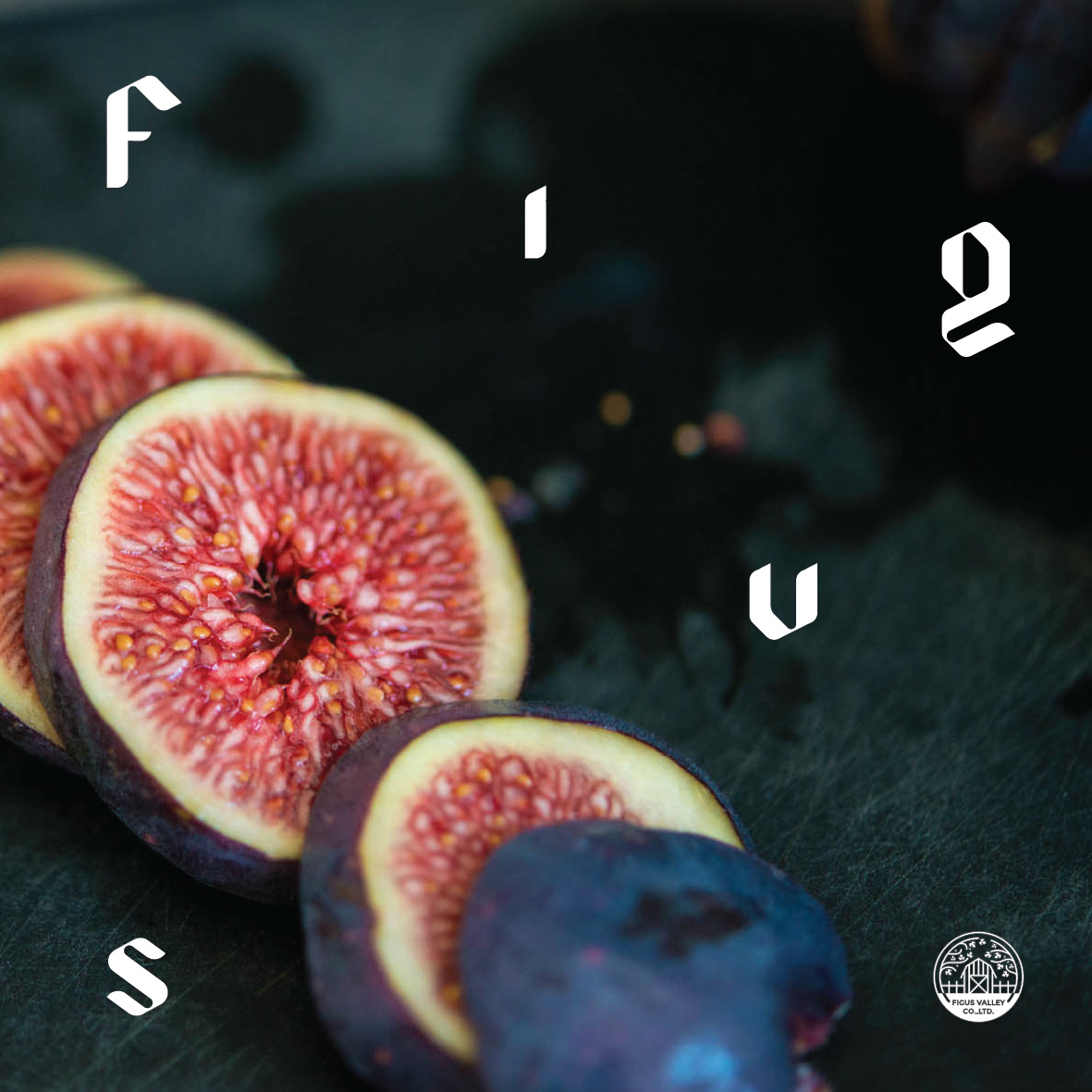 Figus - Flat Alphabet G