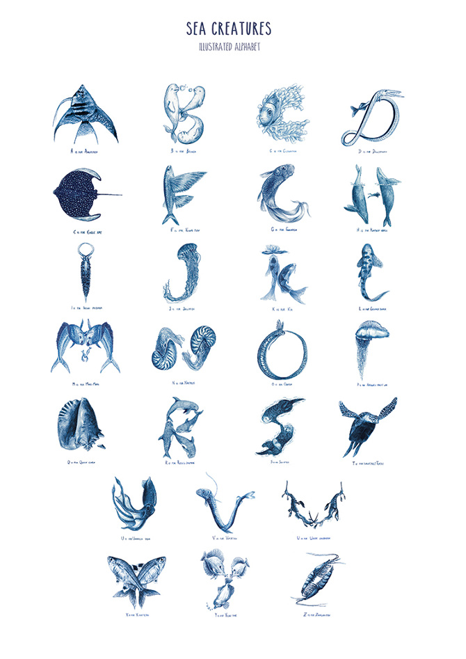 Sea Creatures Alphabet - Gone Monteiro
