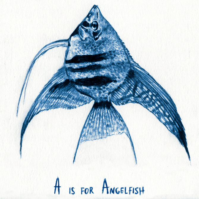 Sea Creatures Alphabet - Gone Monteiro