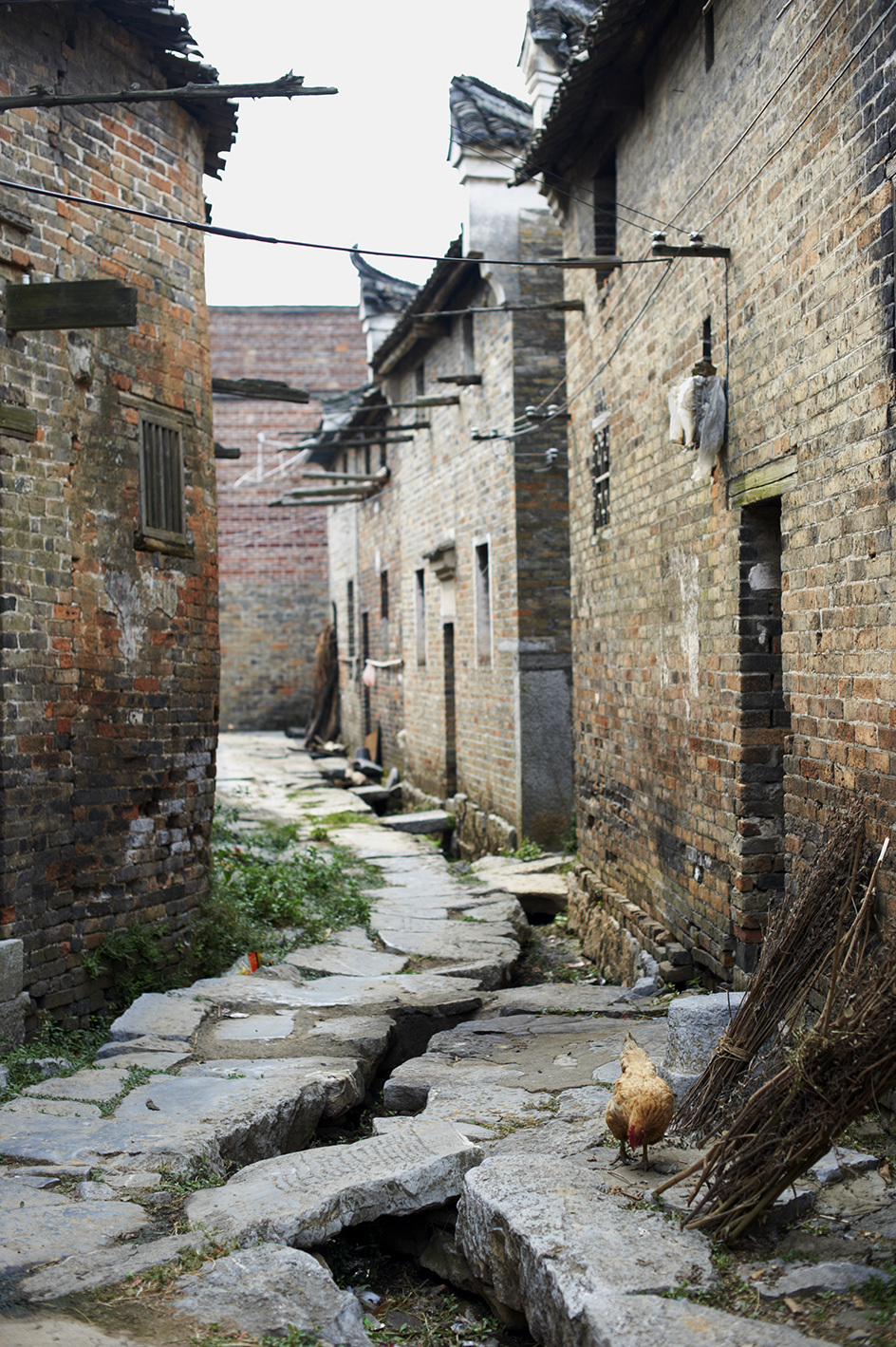 Nüshu (Women's Script) - Weina Li Photography