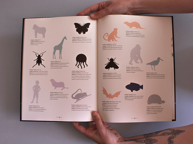Libro Sueño Animal - Do