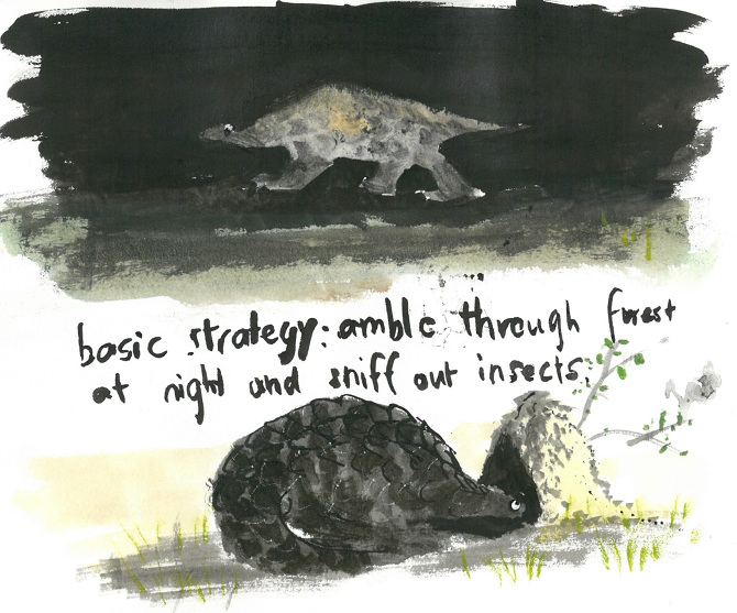 Sketch book research - pangolin - Farah Iqbal Illustration