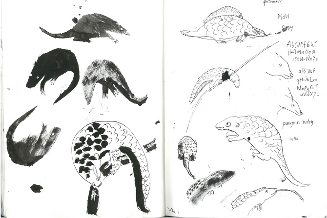 Sketch book research - pangolin - Farah Iqbal Illustration
