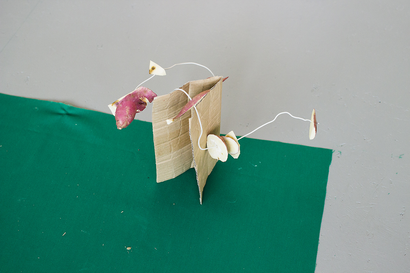 Dialogue table - Nicolás Lamas