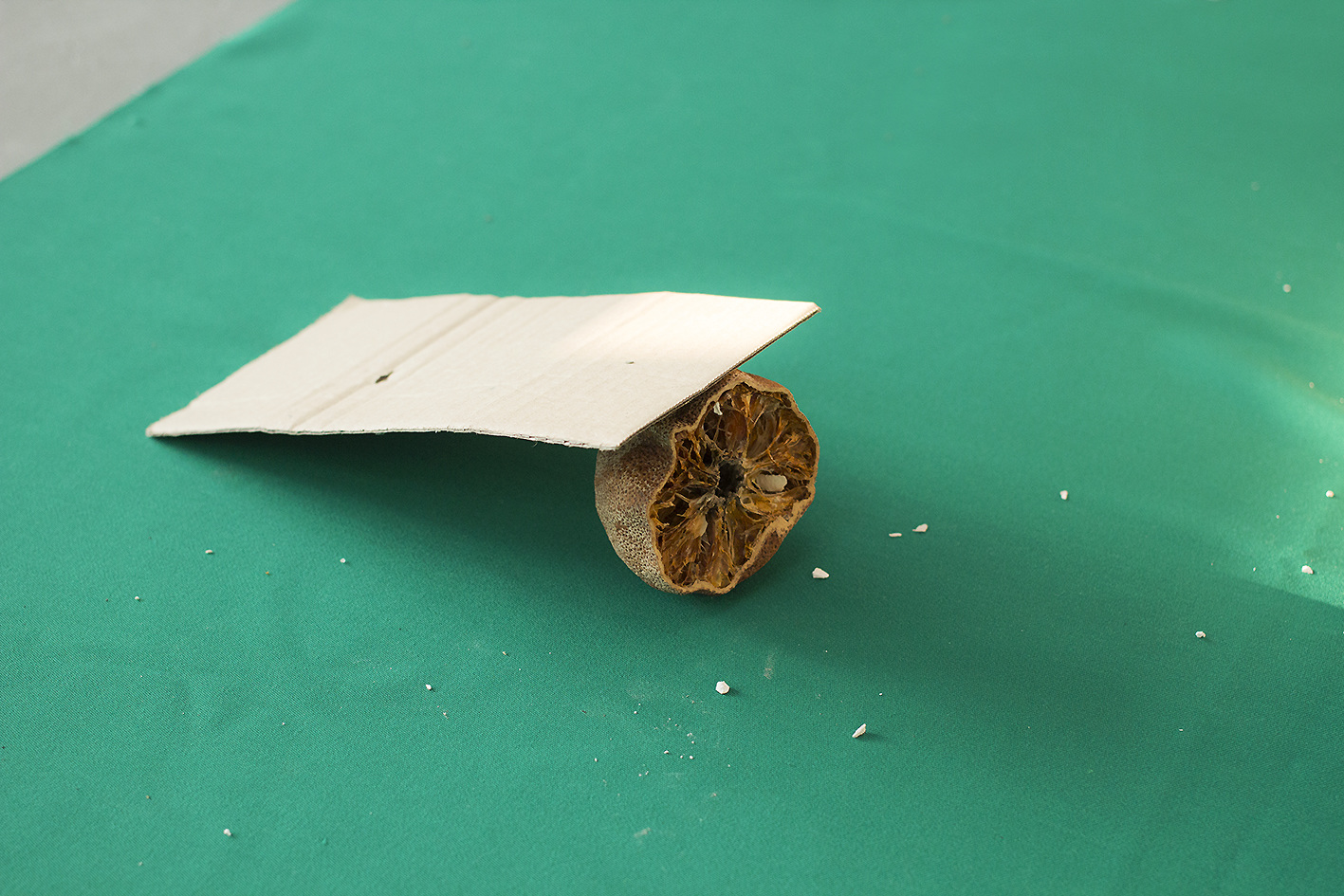 Dialogue table - Nicolás Lamas