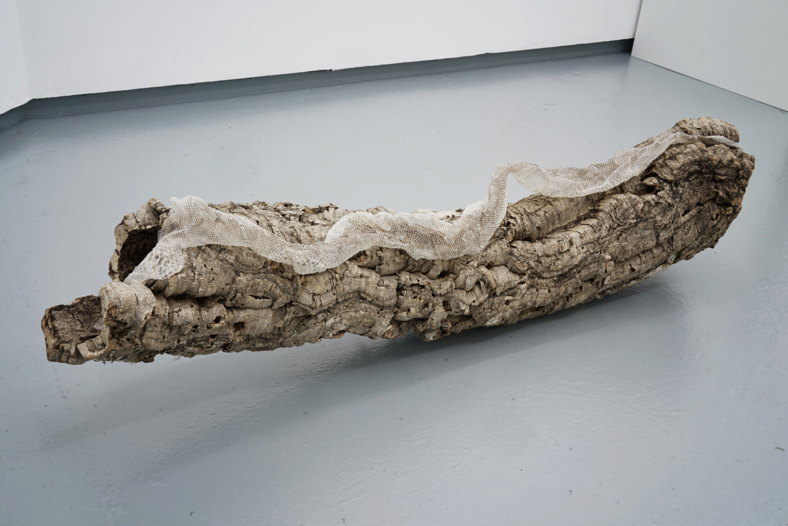 Becoming animal - Nicolás Lamas