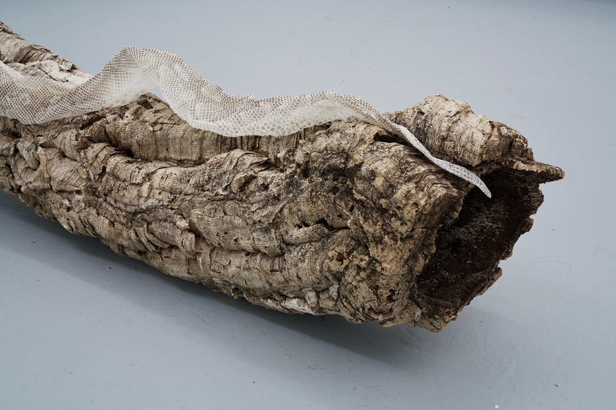 Becoming animal - Nicolás Lamas