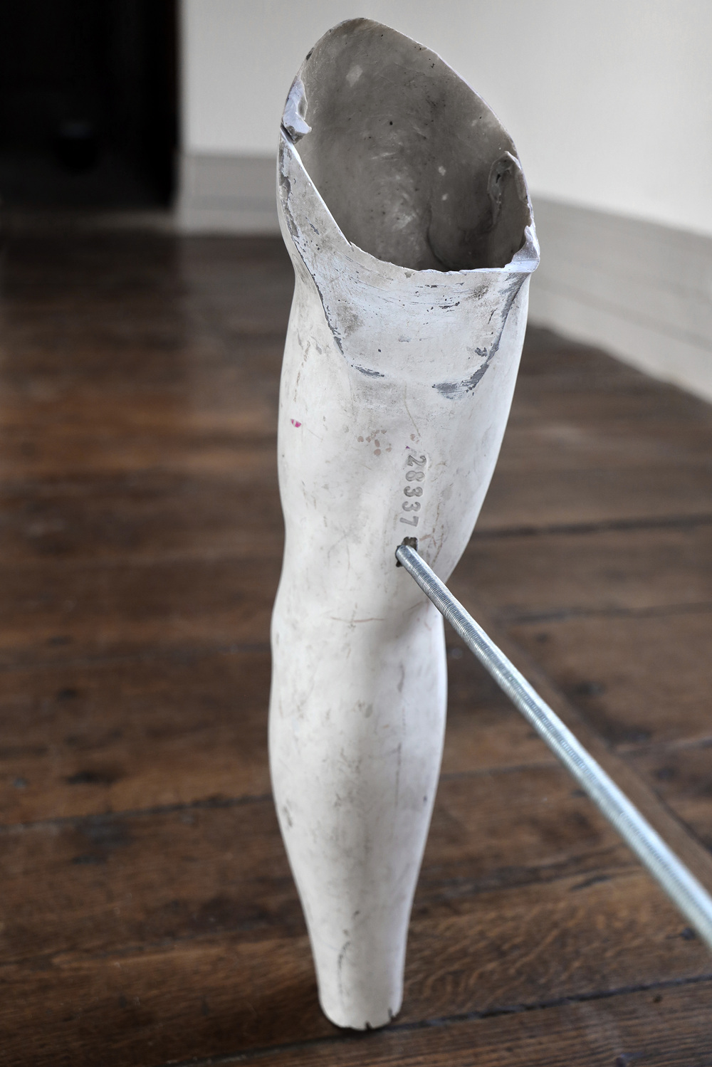 Liquid bones - Nicolás Lamas