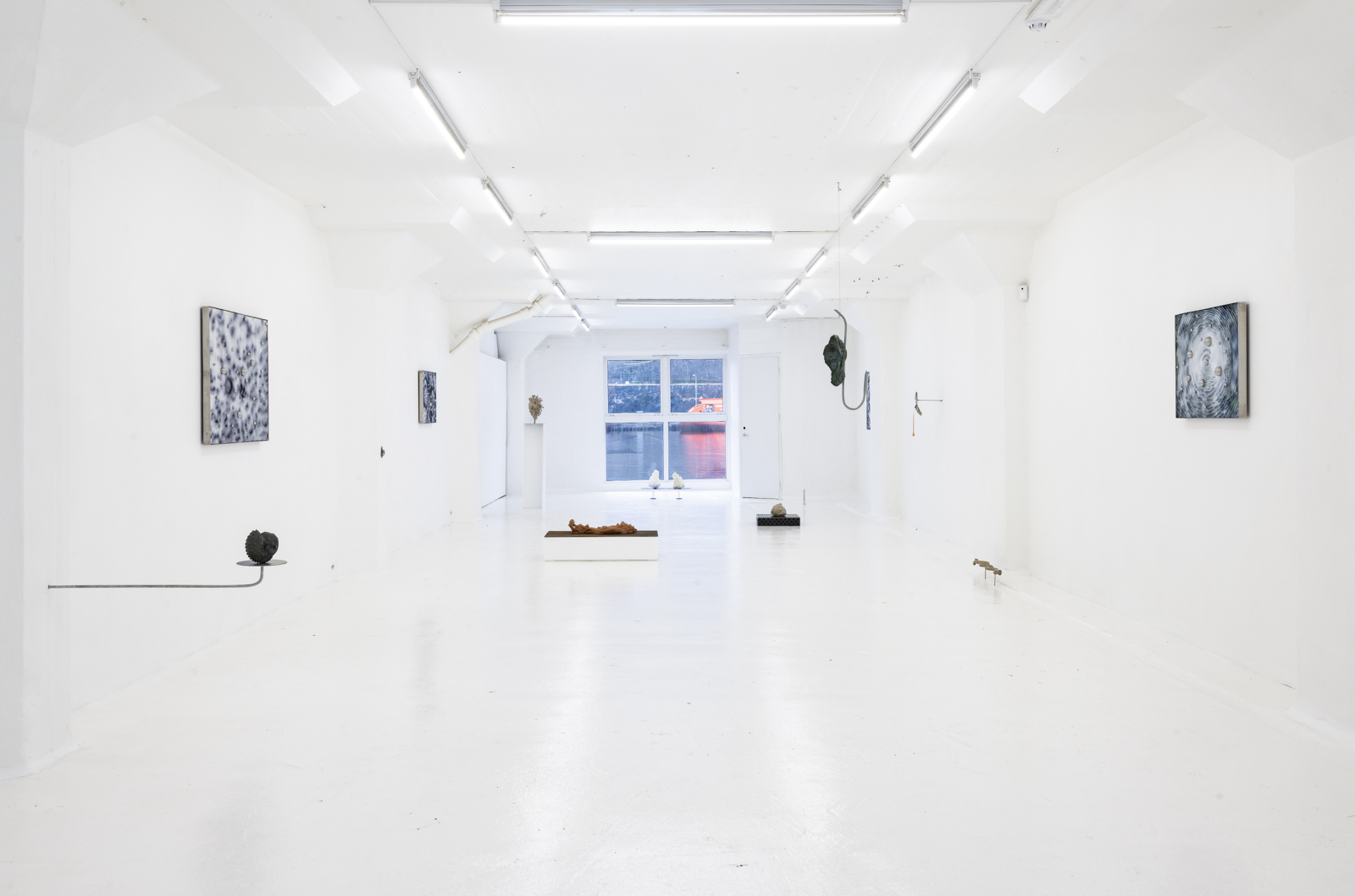 non-human-matters - Nicolás Lamas