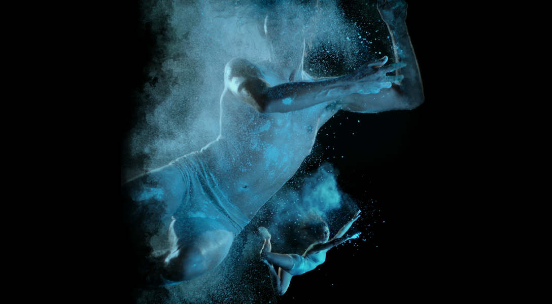 DARK EMU - Bonnie Elliott ACS