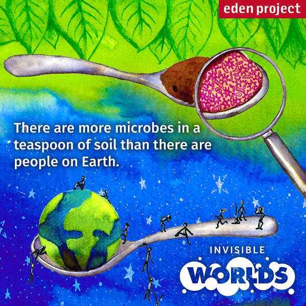 Eden Project Infographic - Catherine Price Illustration