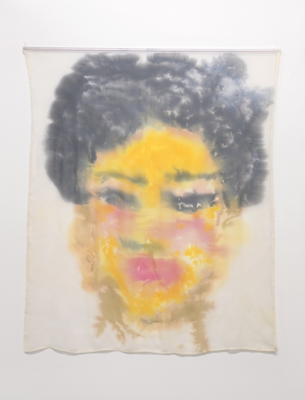 Dana Robinson Artist Page - Selenas Mountain