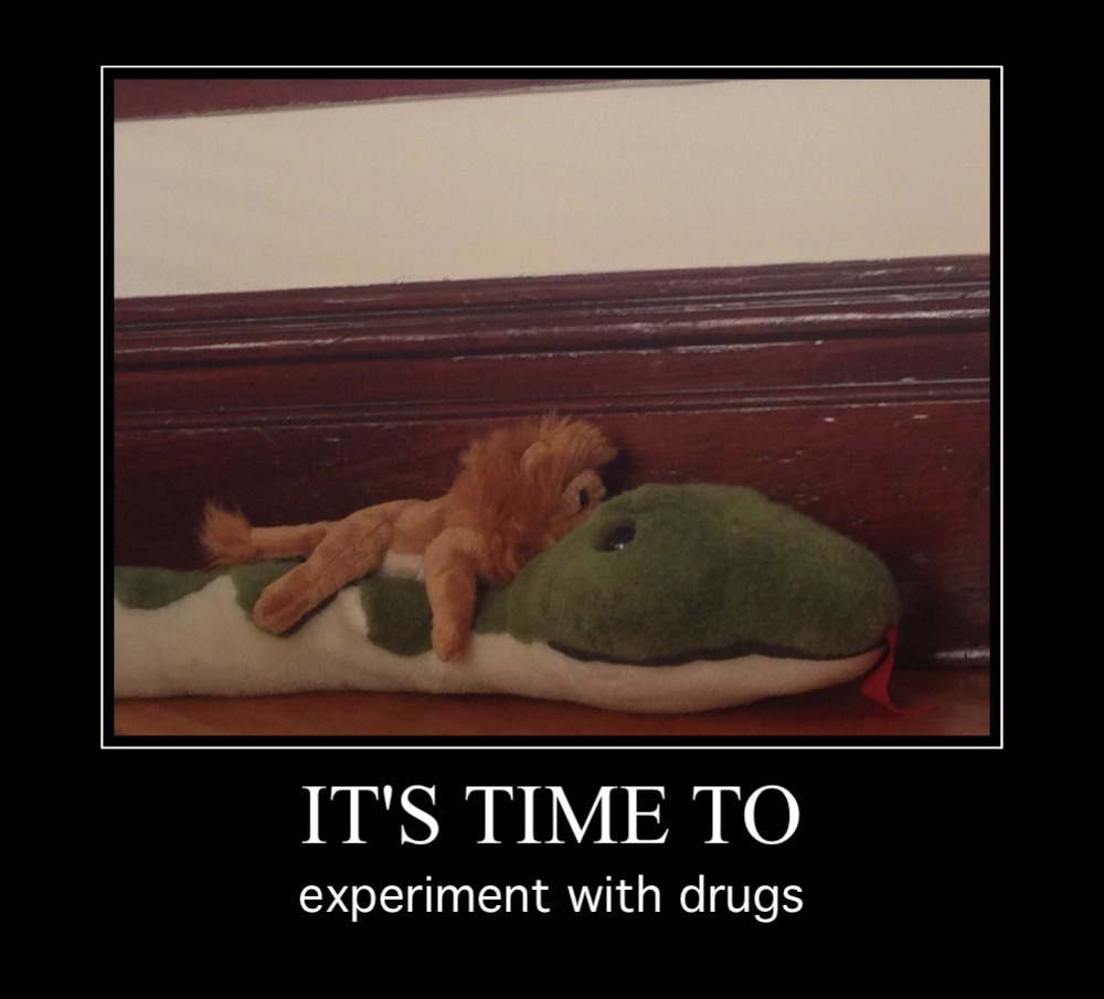 experimenting with memes in portland - process in progress