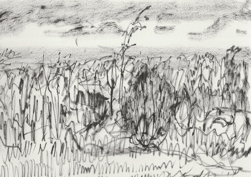 2020: Drawings of Iškoras Permafrost - UnnZum