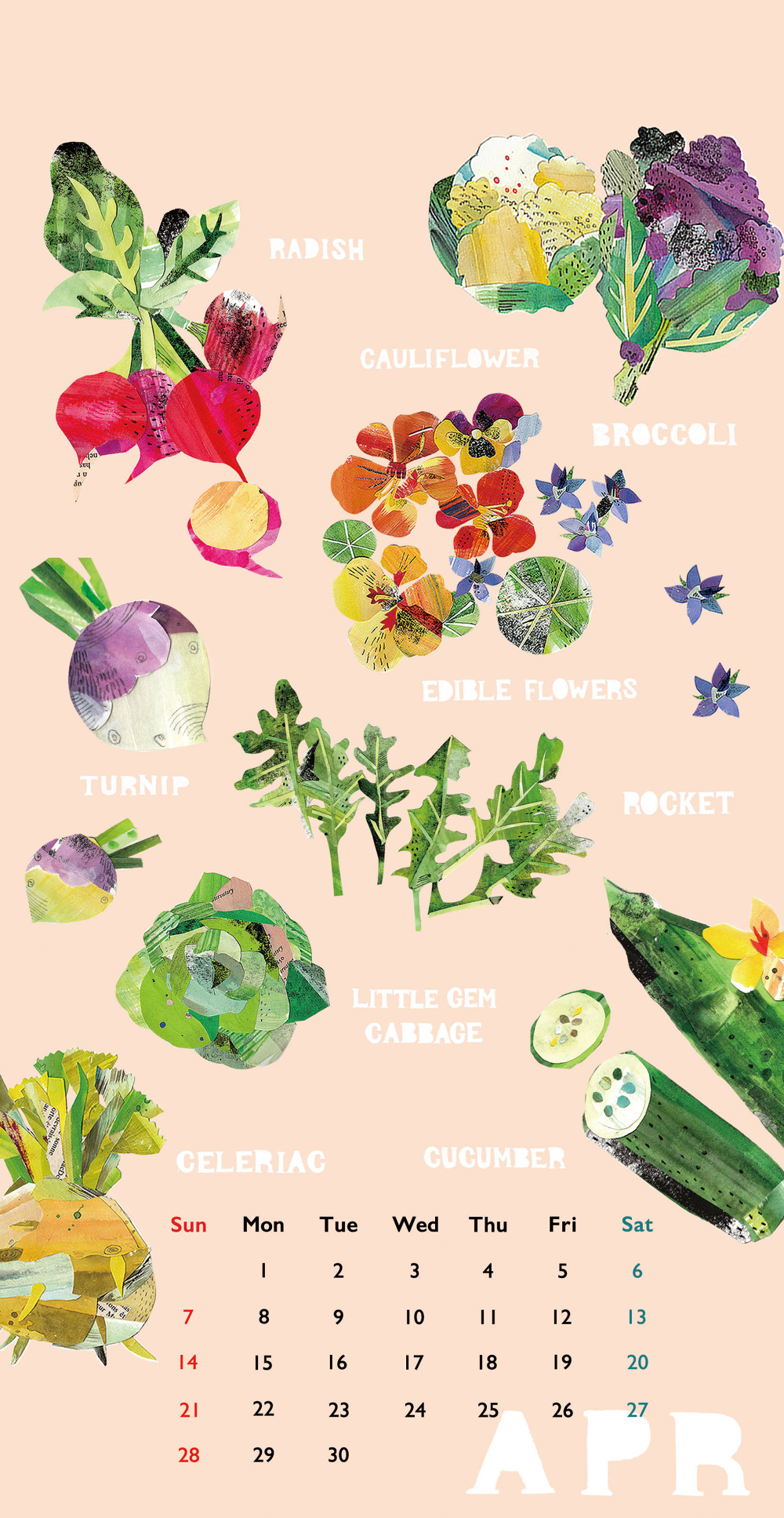 Seasonal Fruit and Vegetables Calendar - YING ILLUSTRATION