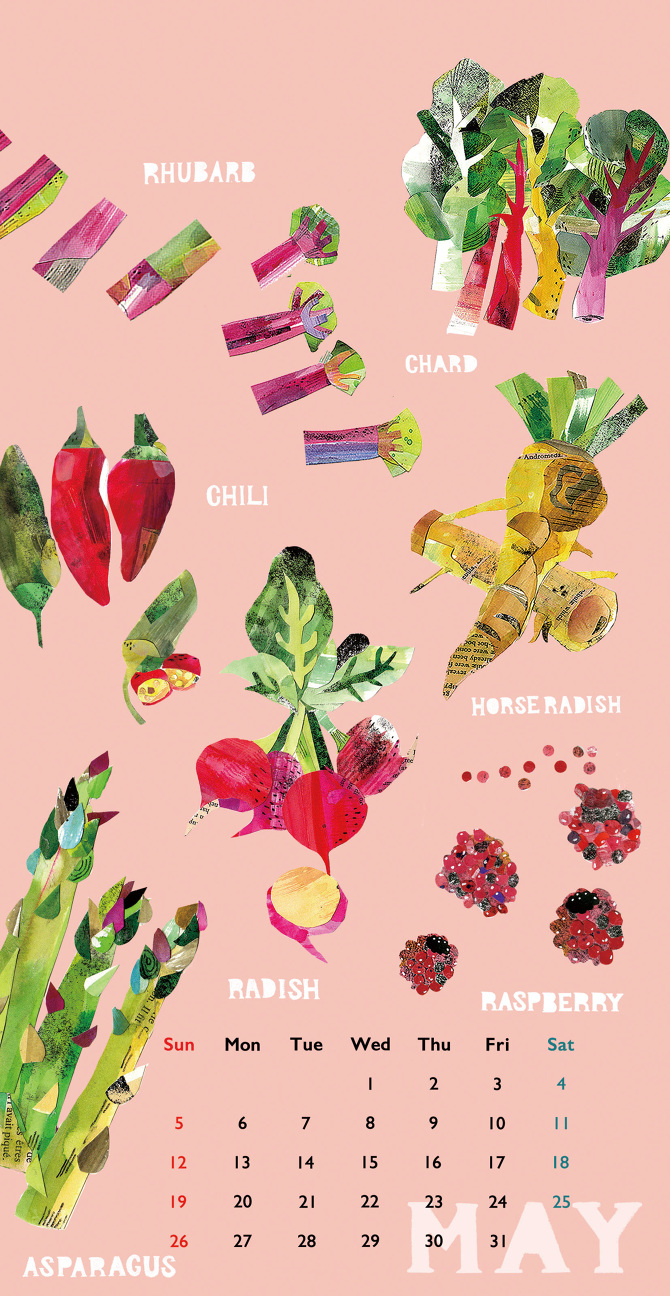 Seasonal Fruit and Vegetables Calendar - YING ILLUSTRATION