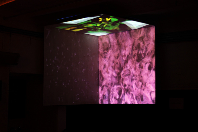 Interactive visualisations - Anton Lapov