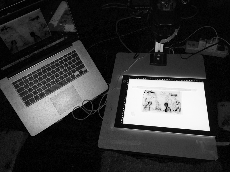 Elephant In A Haystack / short film / 2022 - xu yujie