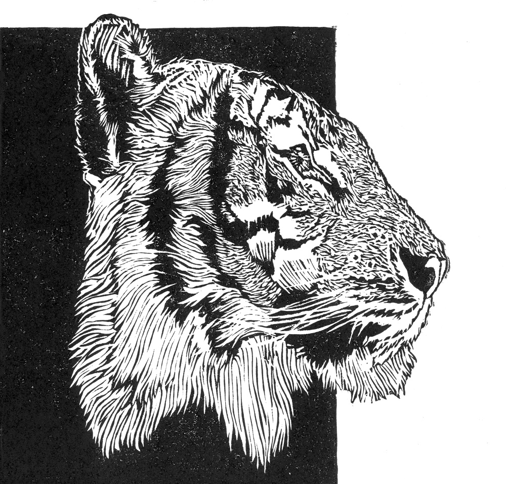 Lino Tiger - Yanit Hen illustration