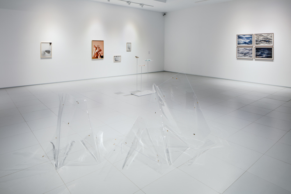 THE INHALATION OF AN OCEANIC CARBON BREADTH Athanasios Argianas, Anne ...