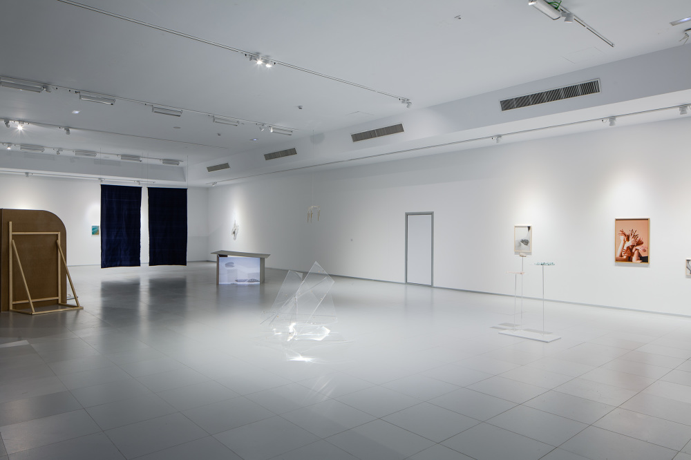 THE INHALATION OF AN OCEANIC CARBON BREADTH Athanasios Argianas, Anne ...