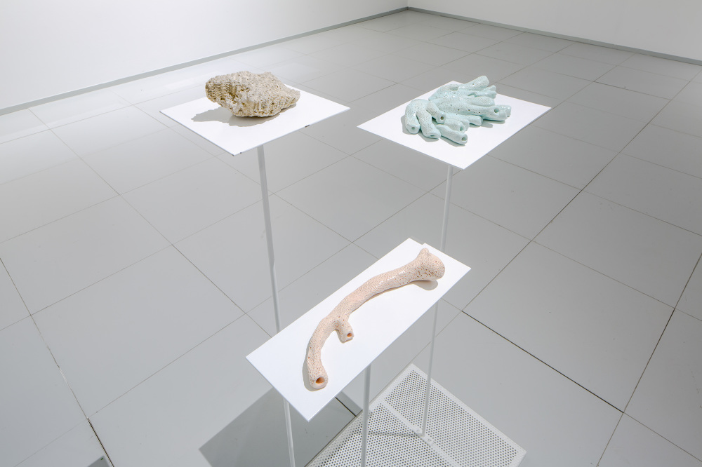 THE INHALATION OF AN OCEANIC CARBON BREADTH Athanasios Argianas, Anne ...