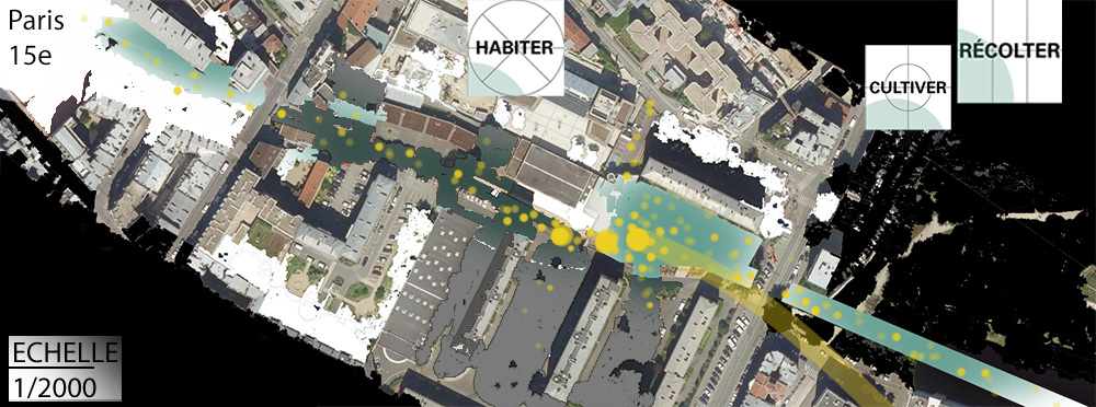 .approach. culture - Antoine Simondi