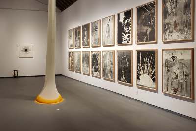 Campo - Eav Parque Lage (2019) - Art & Luz