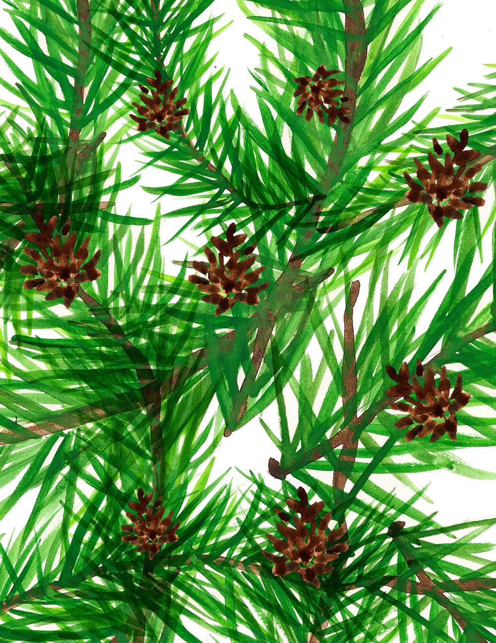 Winter - Angeli Patel