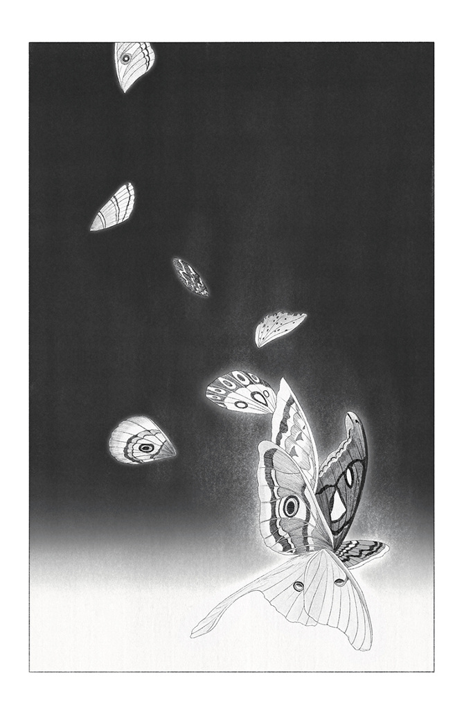 Book illustrations for 'Story and Structure' - JasonChuangArt