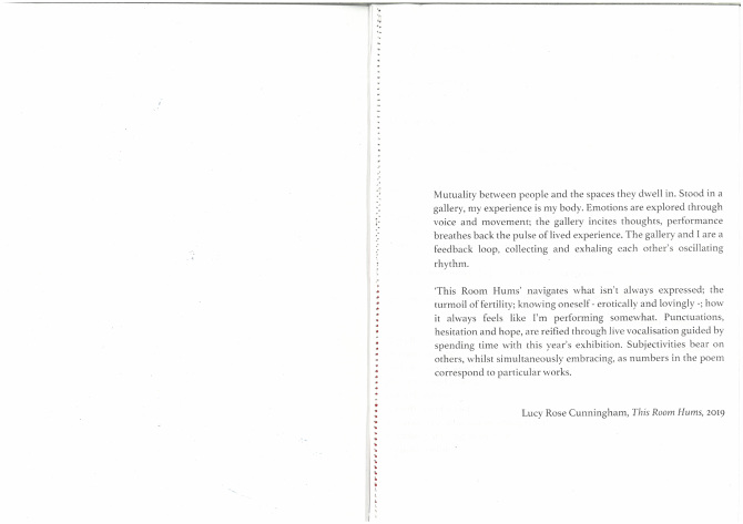 'this room hums' - Lucy Rose Cunningham