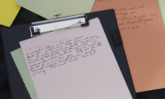 'Workshopping Writing' - Lucy Rose Cunningham